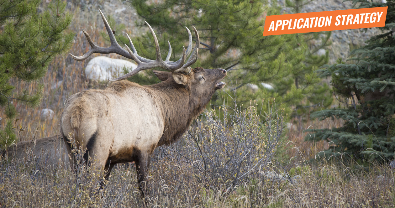 APPLICATION STRATEGY 2018: Oregon Elk and Antelope // GOHUNT. The Hunting Company