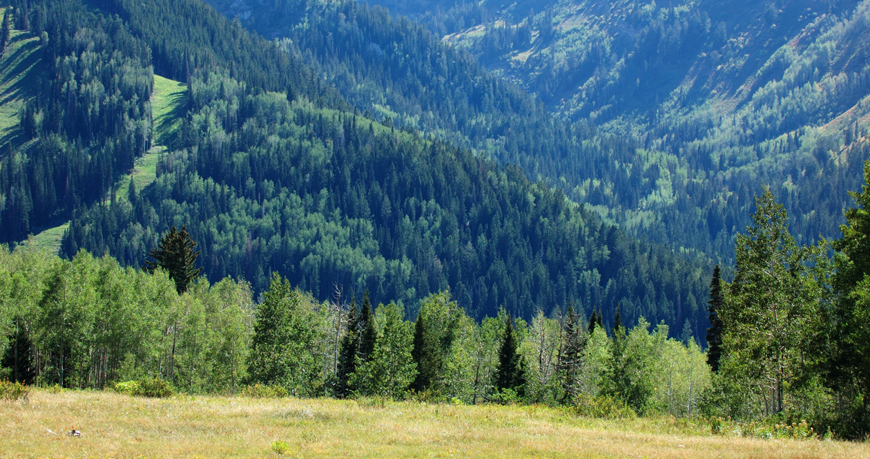 Oklahoma Representative Proposes Bigfoot Hunting Season // GOHUNT. The Hunting Company