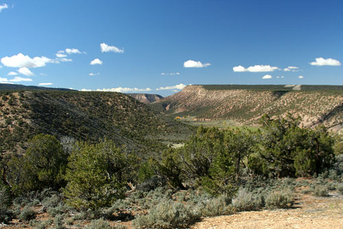 Colorado Unit 63 Unit Profile // GOHUNT. The Hunting Company