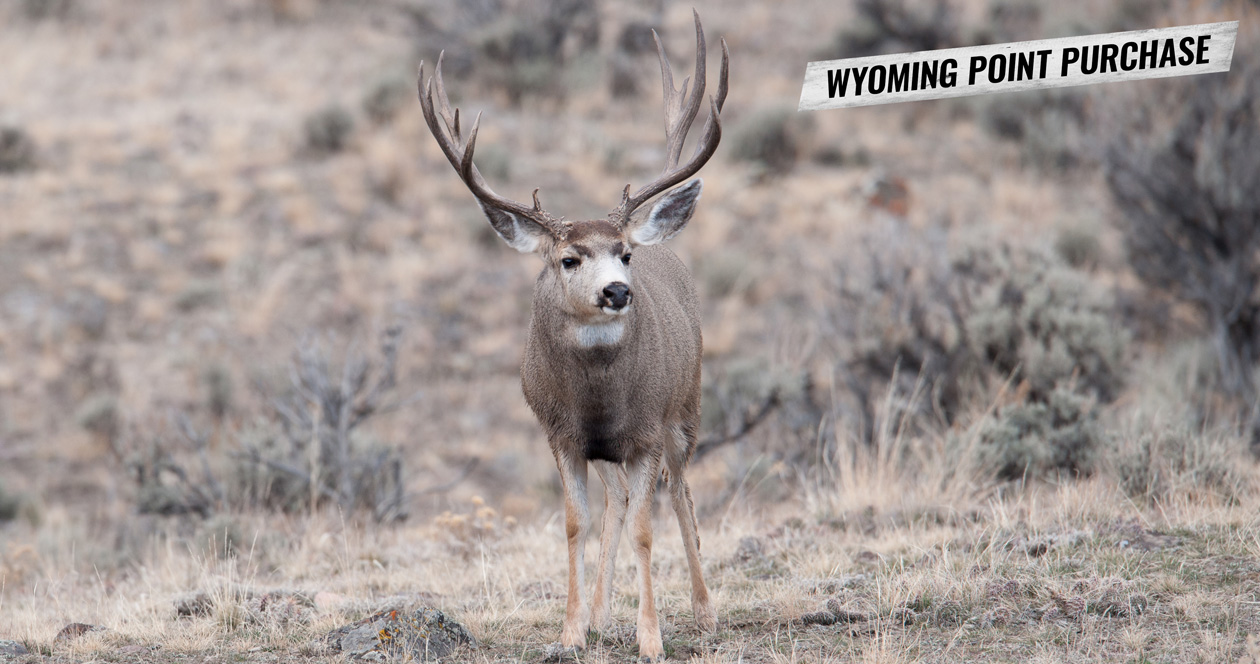 How to purchase Wyoming preference points — a step-by-step guide ...