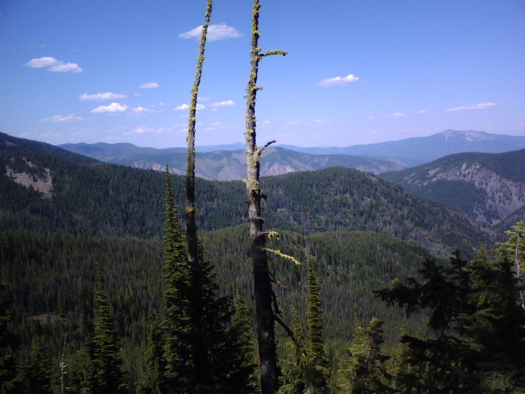 Montana Hunt District 200 Unit Profile - 3 Hunters are talking about ...