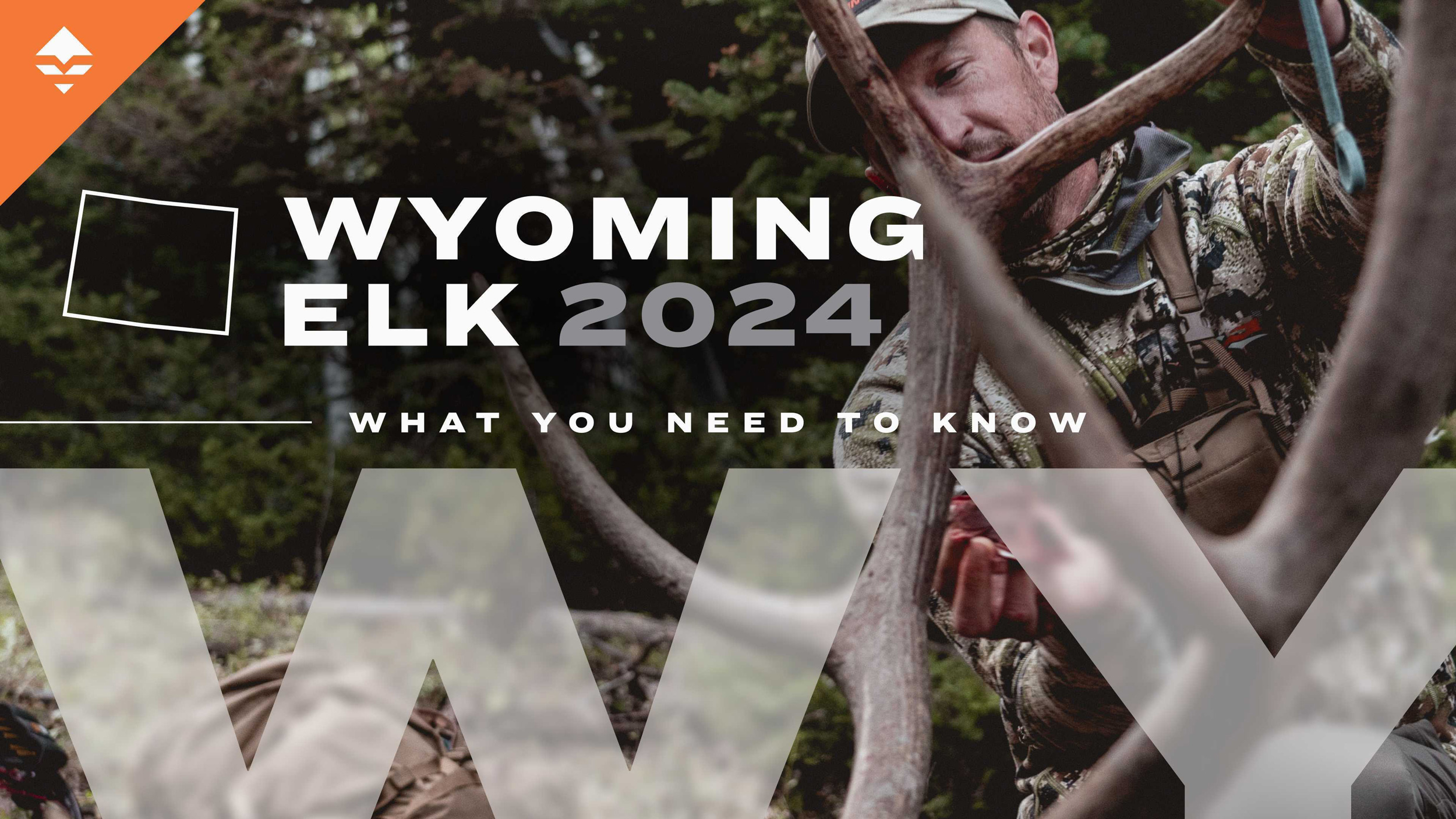 What you need to know when applying for Wyoming elk // GOHUNT. The ...