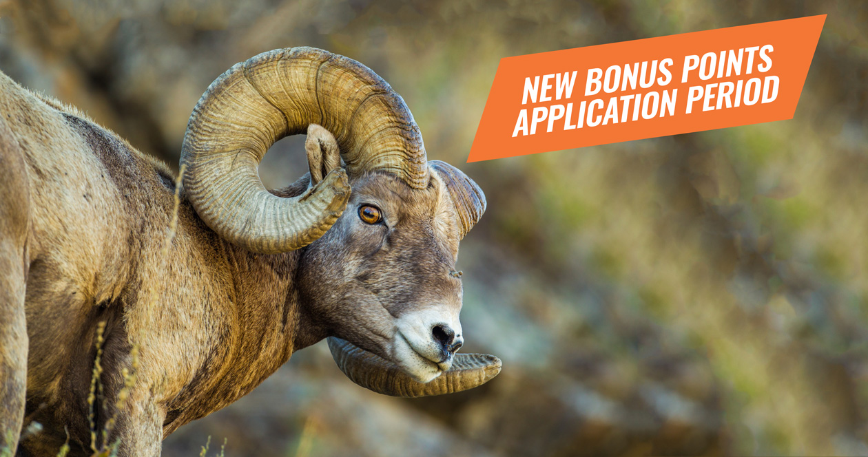 ALERT: Montana's New Bonus Point Application Period // GOHUNT. The ...