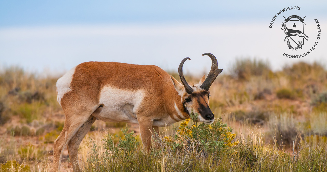Randy Newberg's pronghorn hunt giveaway winner announced! // GOHUNT ...