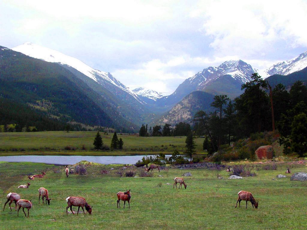 Colorado Unit 18 Unit Profile // GOHUNT. The Hunting Company