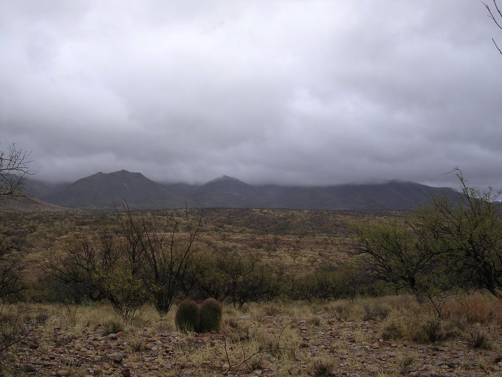 Arizona Unit 34A Unit Profile // GOHUNT. The Hunting Company