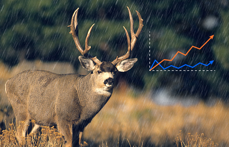 How to find the best hunting units in Idaho // GOHUNT. The Hunting Company