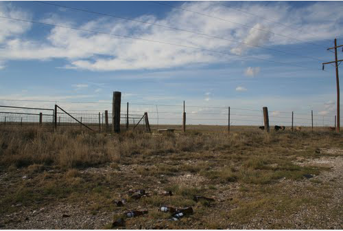 New Mexico Unit 31 Unit Profile // GOHUNT. The Hunting Company