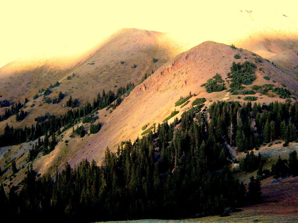 Utah Beaver Unit Profile // GOHUNT. The Hunting Company