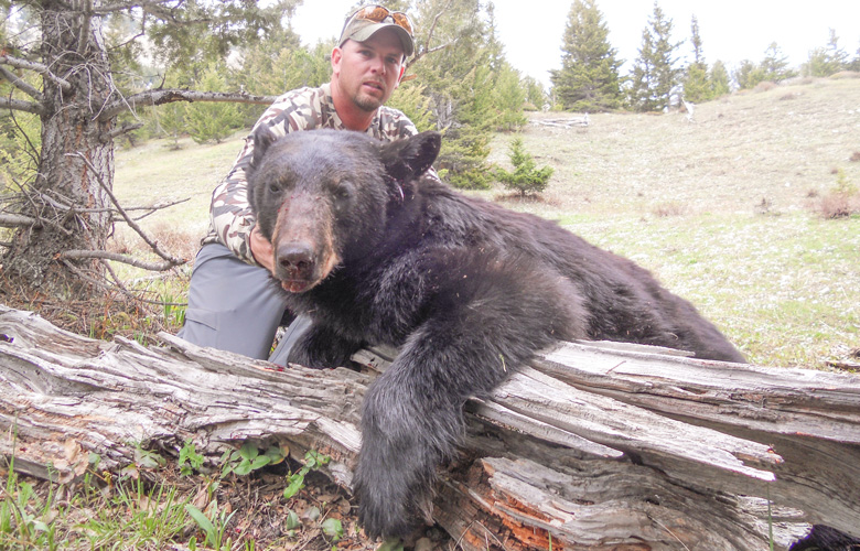 Top 10 reasons to do a spring bear hunt in Montana // GOHUNT. The ...