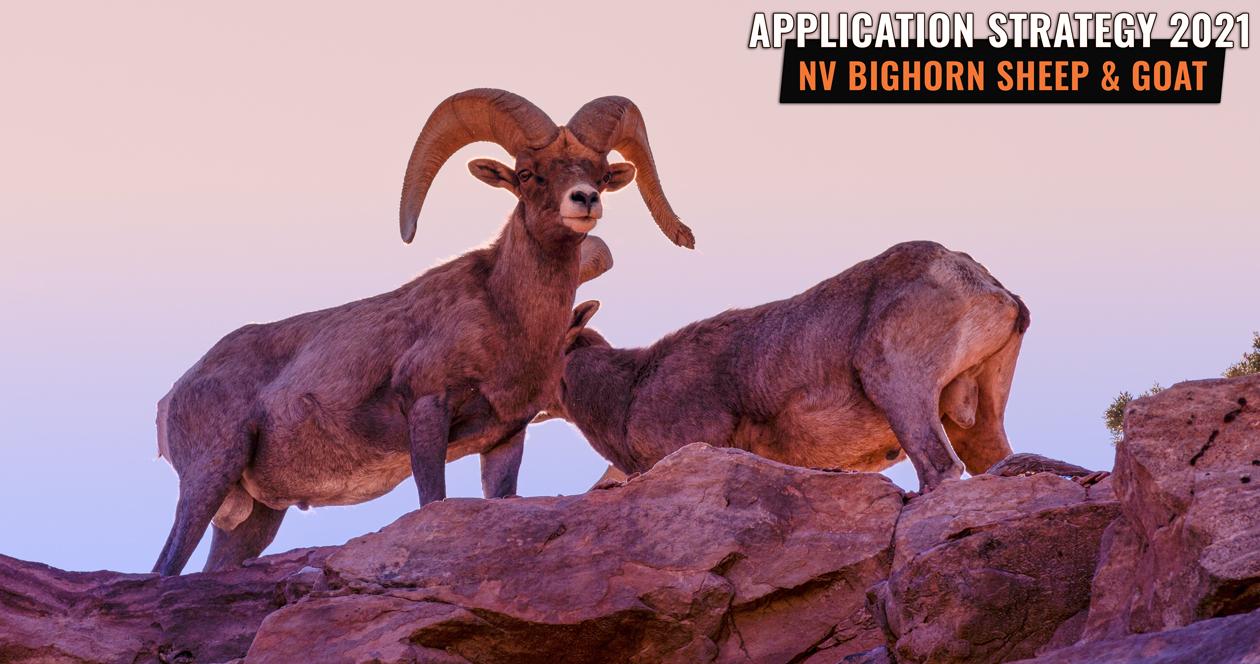APPLICATION STRATEGY 2021: Nevada Sheep and Mountain Goat // GOHUNT. The Hunting Company