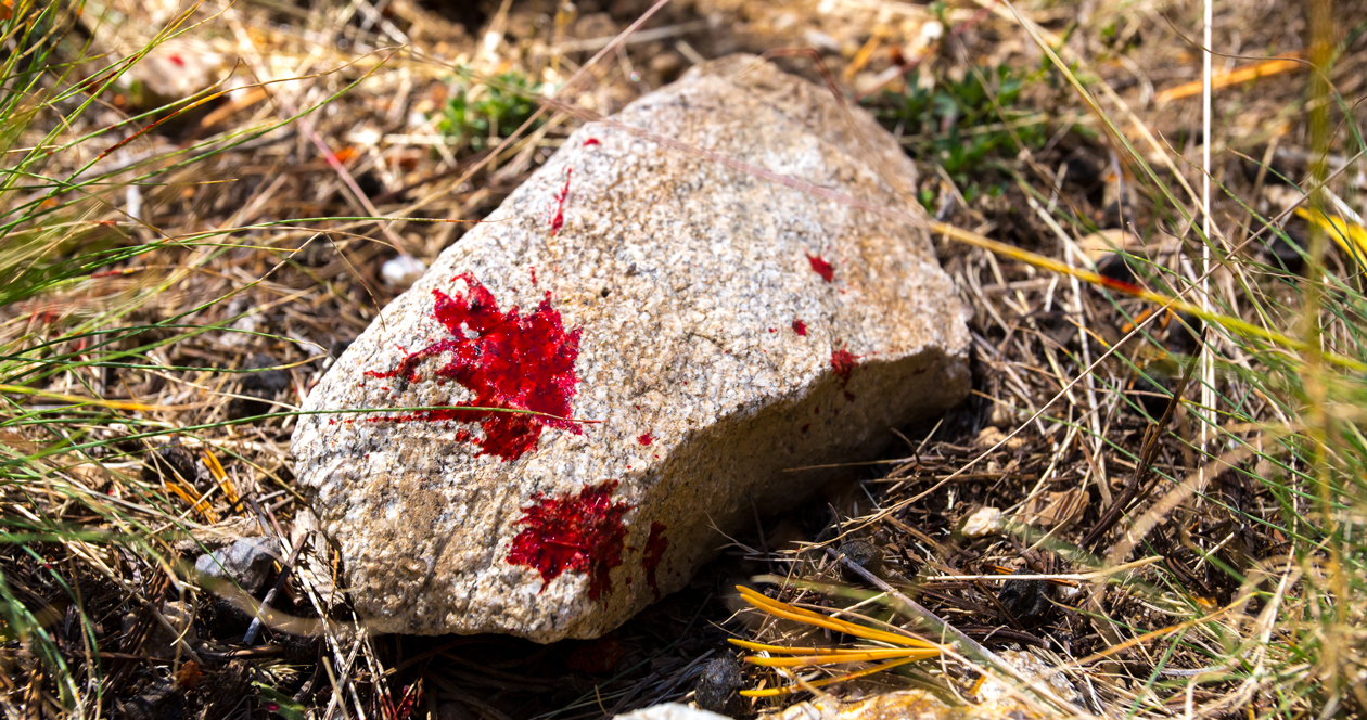 Tips for blood trailing and recovering your meat // GOHUNT. The Hunting ...