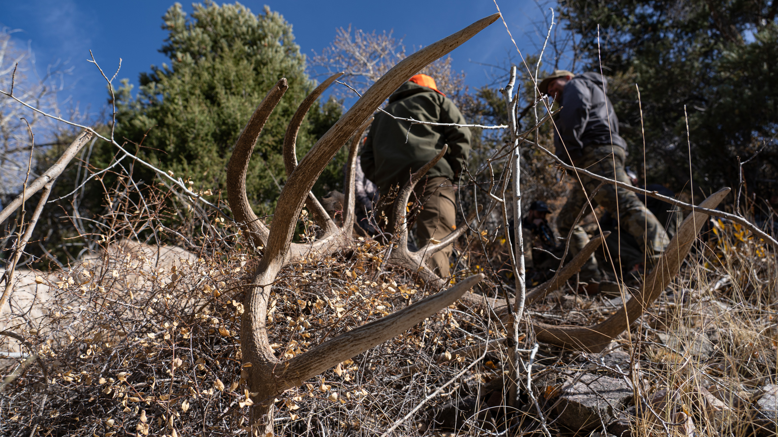 How to stack the elk hunting odds in your favor for success // GOHUNT. The Hunting Company