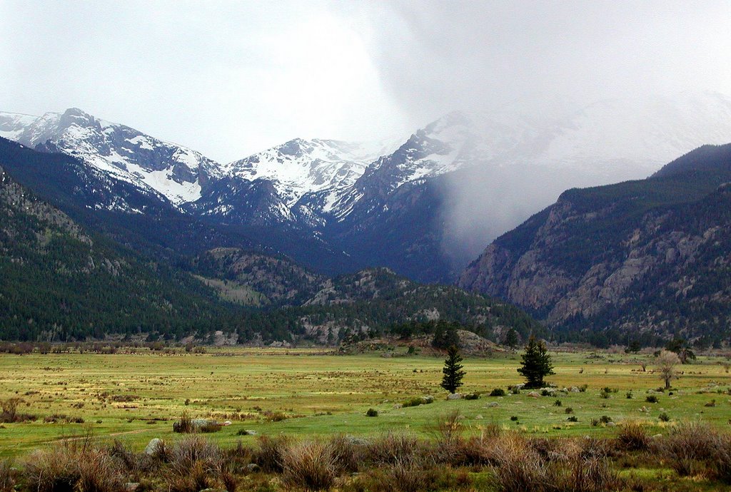 Colorado Unit S37 Unit Profile // GOHUNT. The Hunting Company