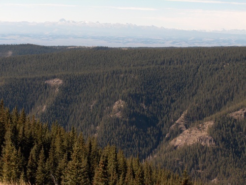 Colorado Unit 54 Unit Profile // GOHUNT. The Hunting Company