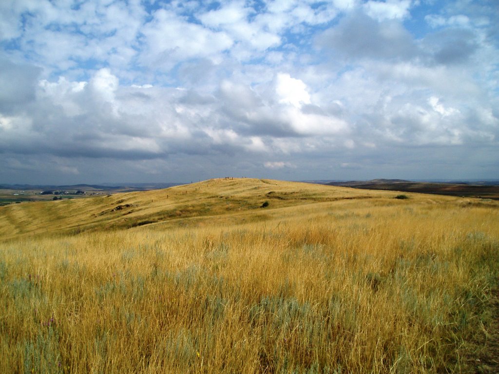 Wyoming Area 36 - Rock Creek Unit Profile // GOHUNT. The Hunting Company