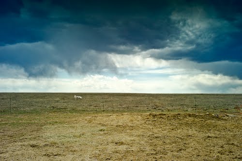 Colorado Unit 87 Unit Profile - 26 Hunters are talking about this Unit ...