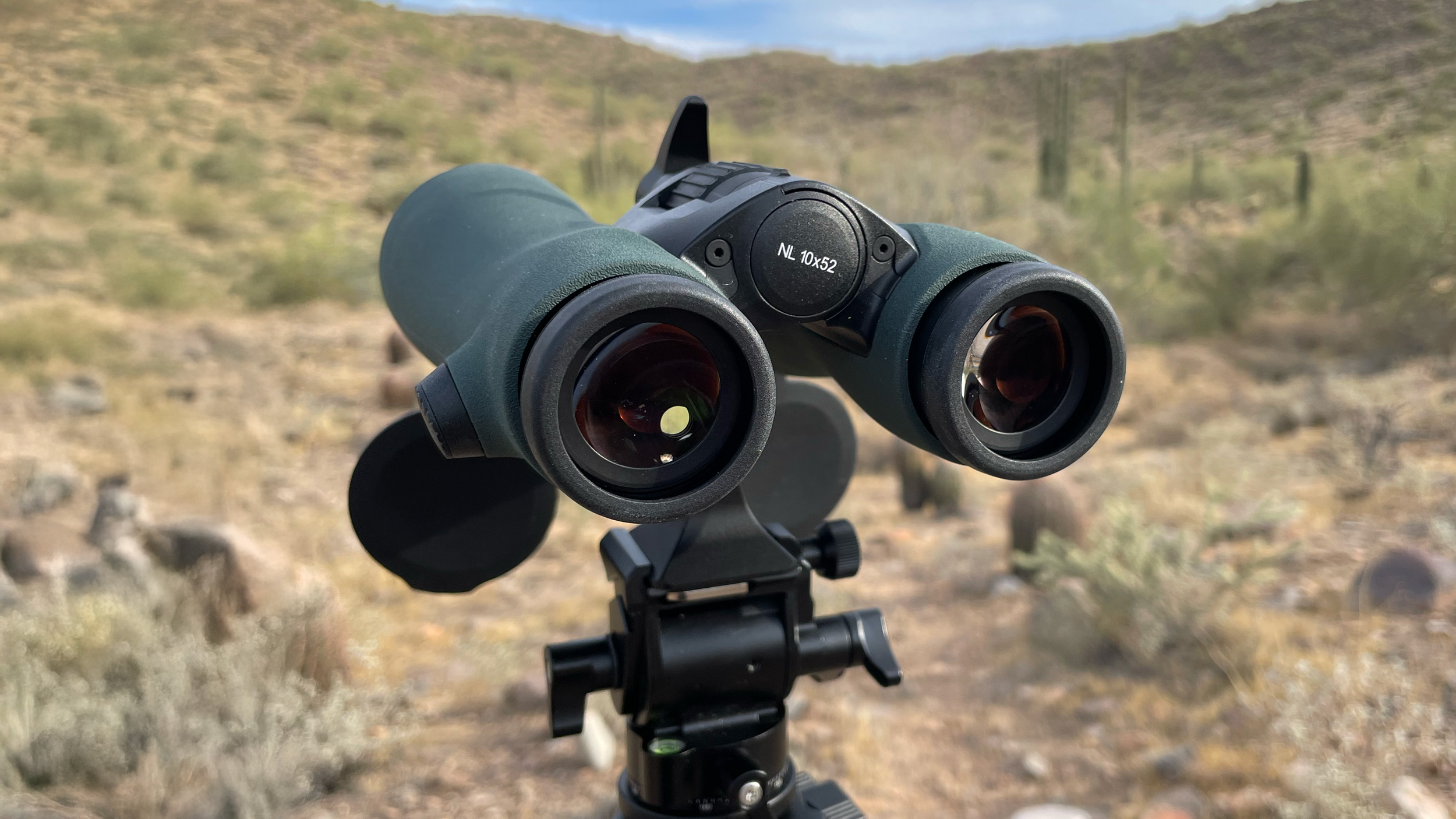 Why the Swarovski 10x52 NL Pure binoculars are worth every penny on ...