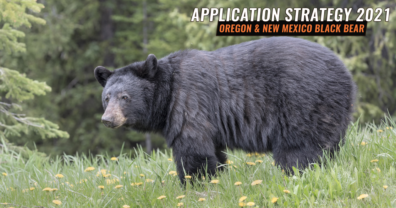 APPLICATION STRATEGY 2021: Oregon and New Mexico spring black bear ...