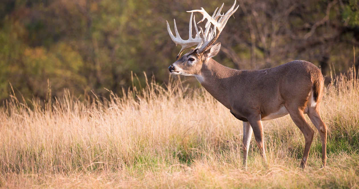14-year-old harvests record Kansas whitetail // GOHUNT. The Hunting Company