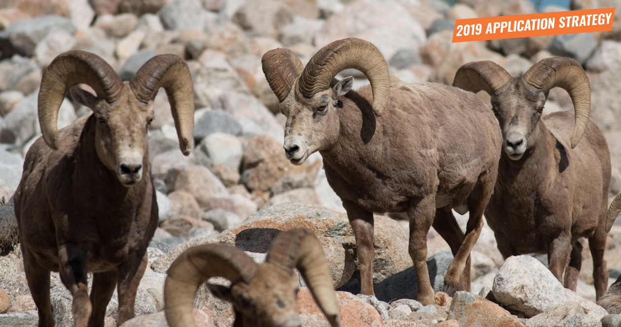 APPLICATION STRATEGY 2019: Colorado Sheep, Moose, Goat // GOHUNT. The ...