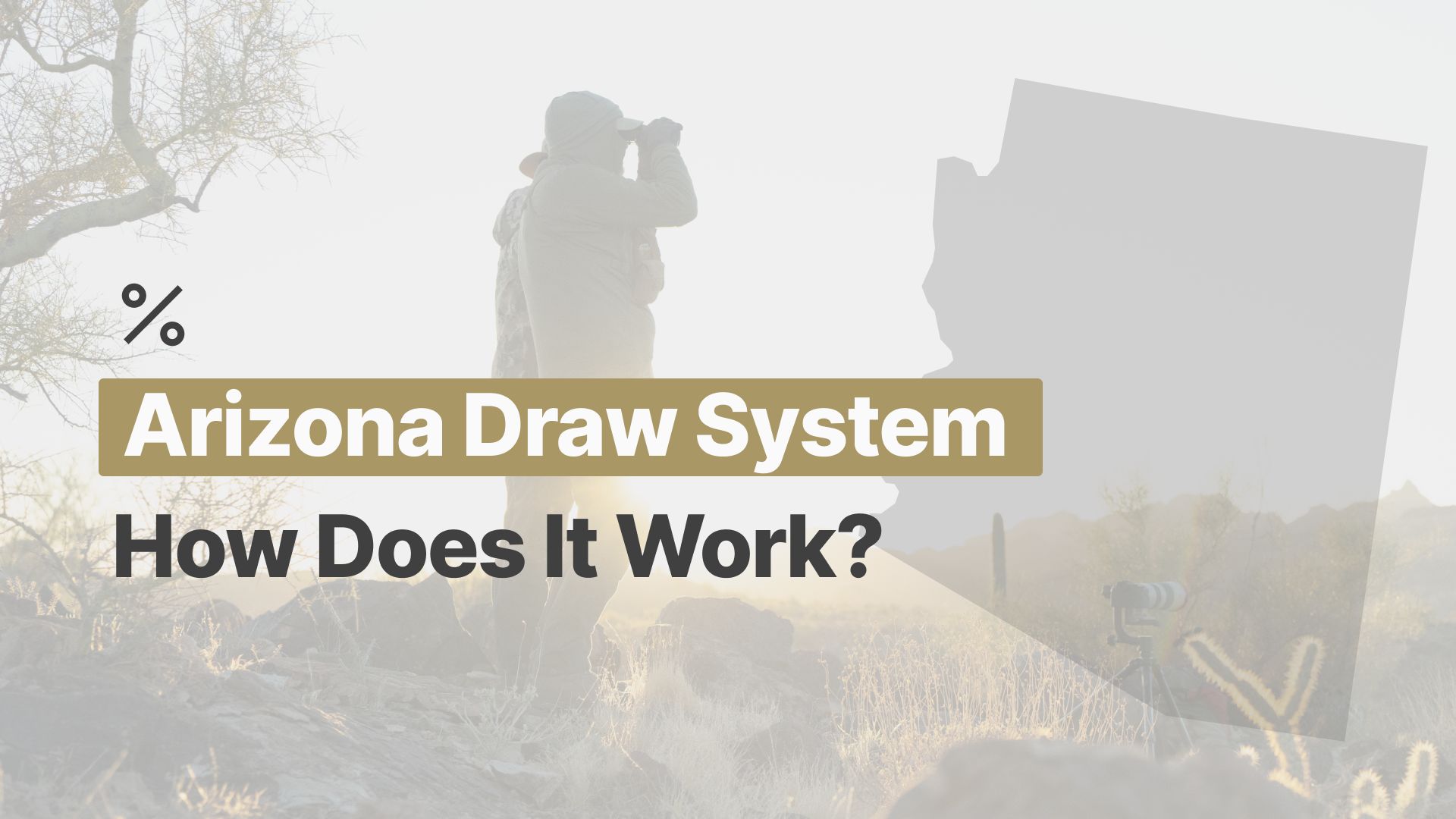 How does the Arizona draw system work for hunts, and hunting ...