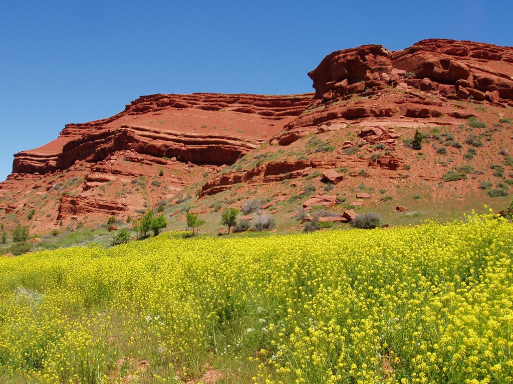 Wyoming Area 2 - Lander Area Unit Profile // GOHUNT. The Hunting Company