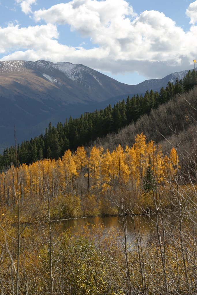 Colorado Unit S11 Unit Profile // GOHUNT. The Hunting Company