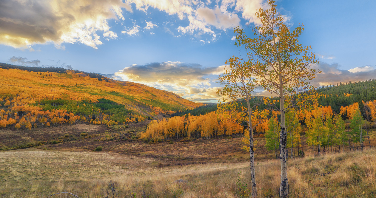 CPW opens new state wildlife area to hunting // GOHUNT. The Hunting Company