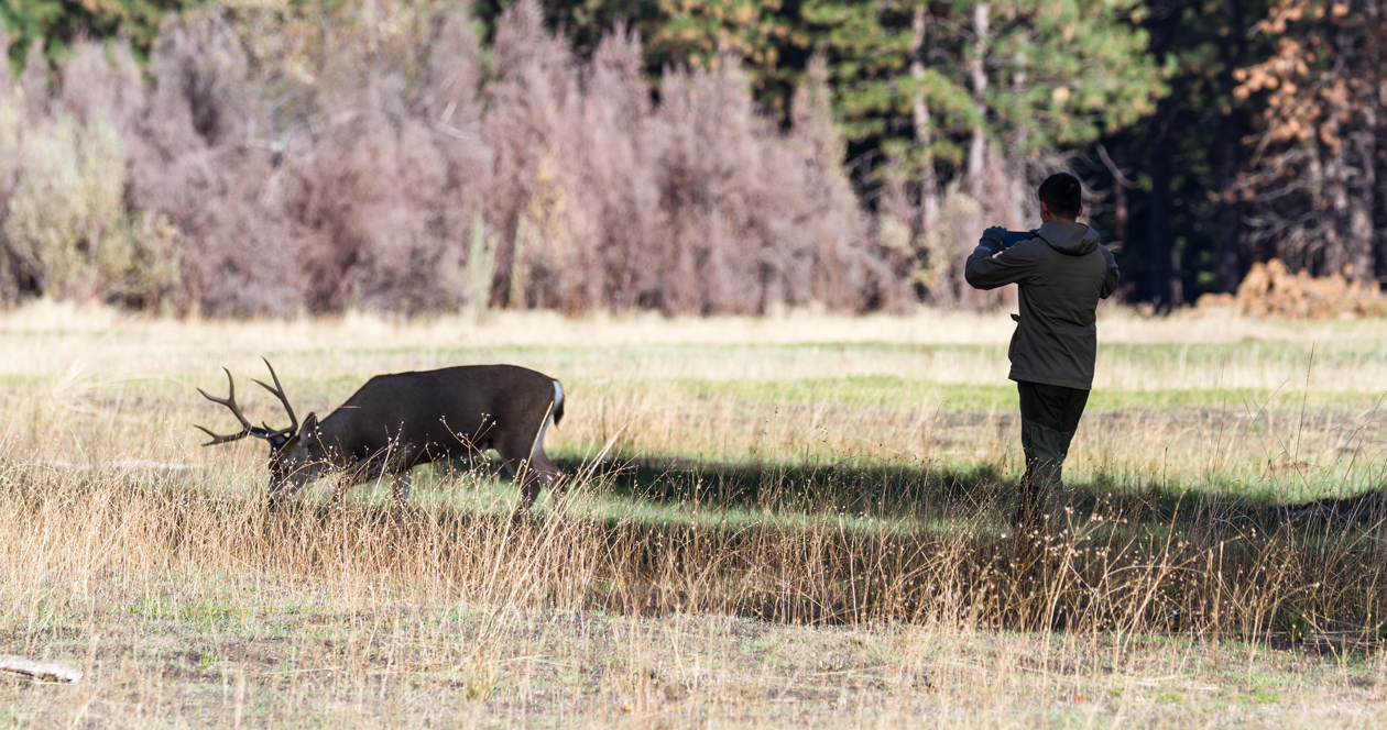 Oregon city considers deer cull // GOHUNT. The Hunting Company