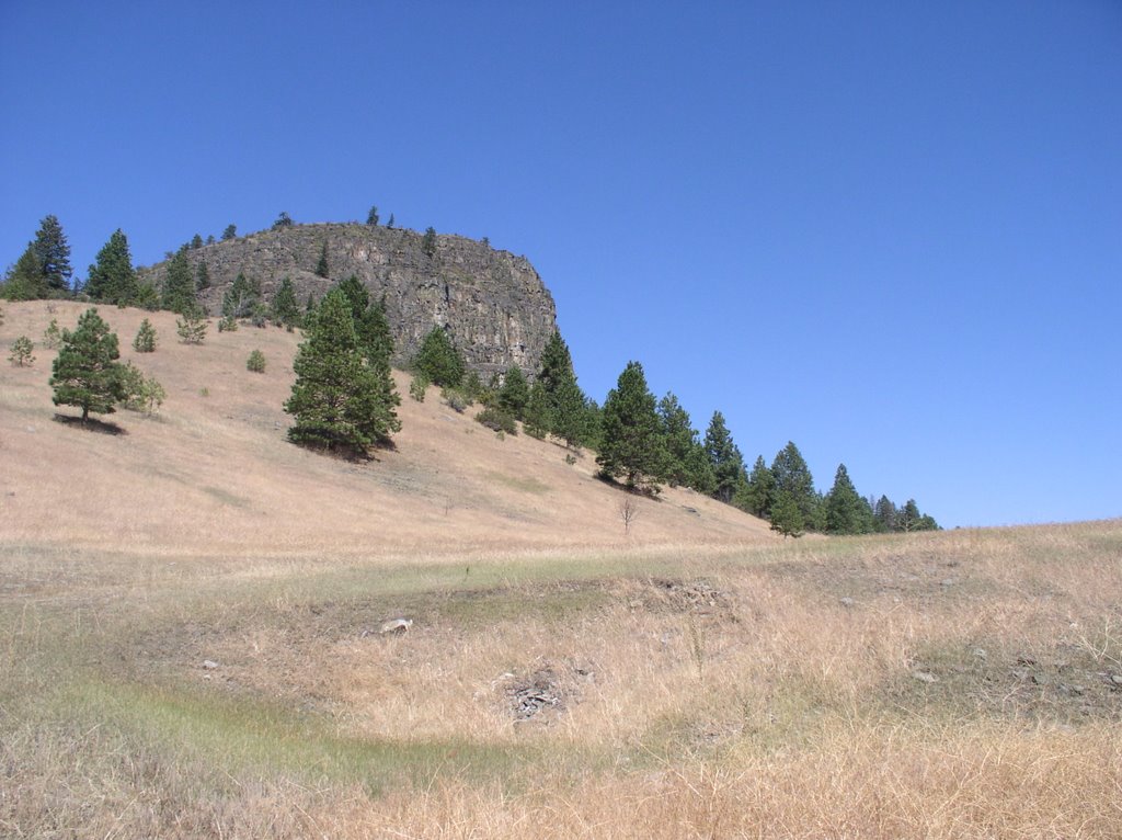 Montana Hunt District 120 Unit Profile // GOHUNT. The Hunting Company