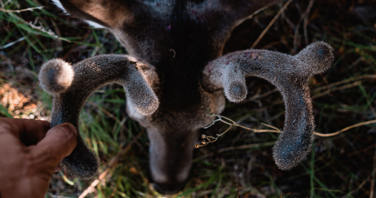 Gear and water tips for hot weather hunting // GOHUNT. The Hunting Company