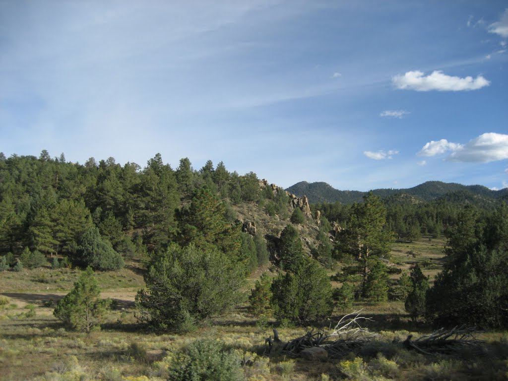 Colorado Unit 69 Unit Profile // GOHUNT. The Hunting Company