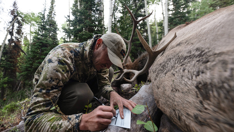 Trail Kreitzer's 2022 hunting application strategy // GOHUNT. The Hunting Company