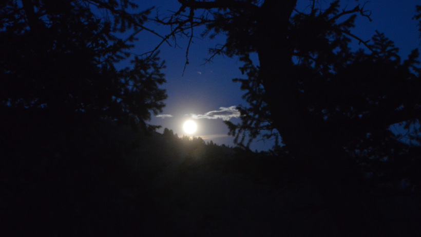 The Blind Way in for Elk // GOHUNT. The Hunting Company