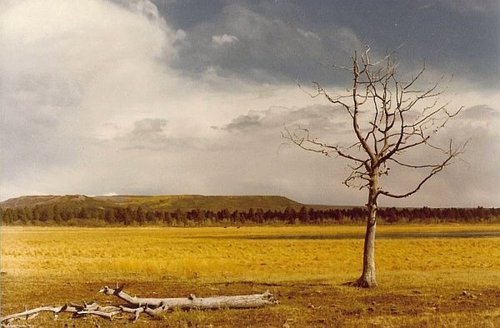 Colorado Unit 711 Unit Profile // GOHUNT. The Hunting Company