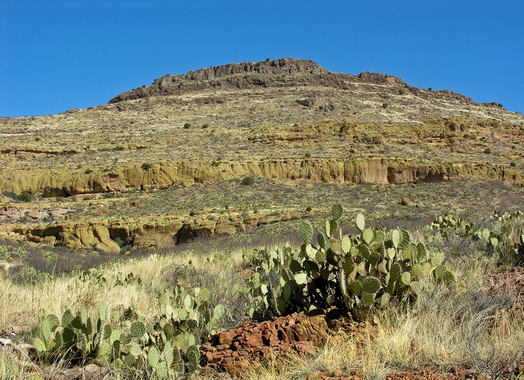 Arizona Unit 28 Unit Profile // GOHUNT. The Hunting Company