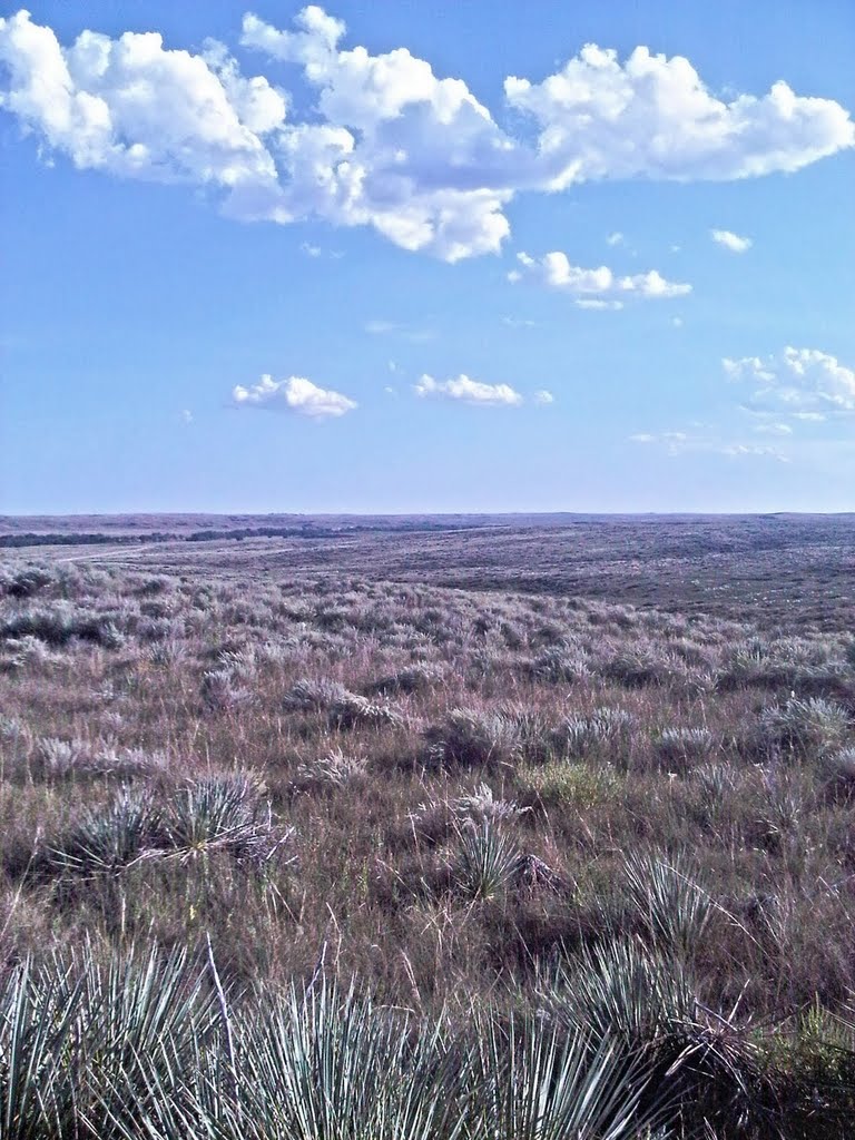 Colorado Unit 103 Unit Profile - 5 Hunters are talking about this Unit ...