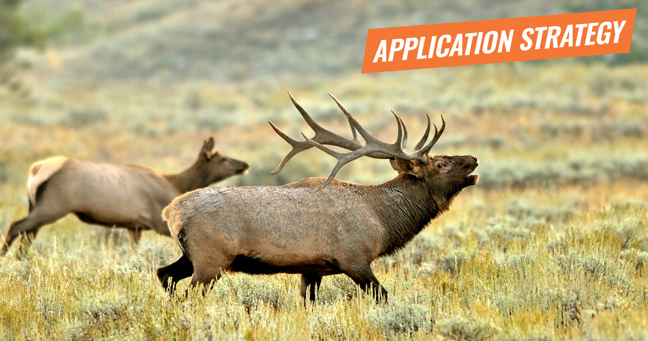 APPLICATION STRATEGY 2018: Utah Elk and Antelope // GOHUNT. The Hunting Company