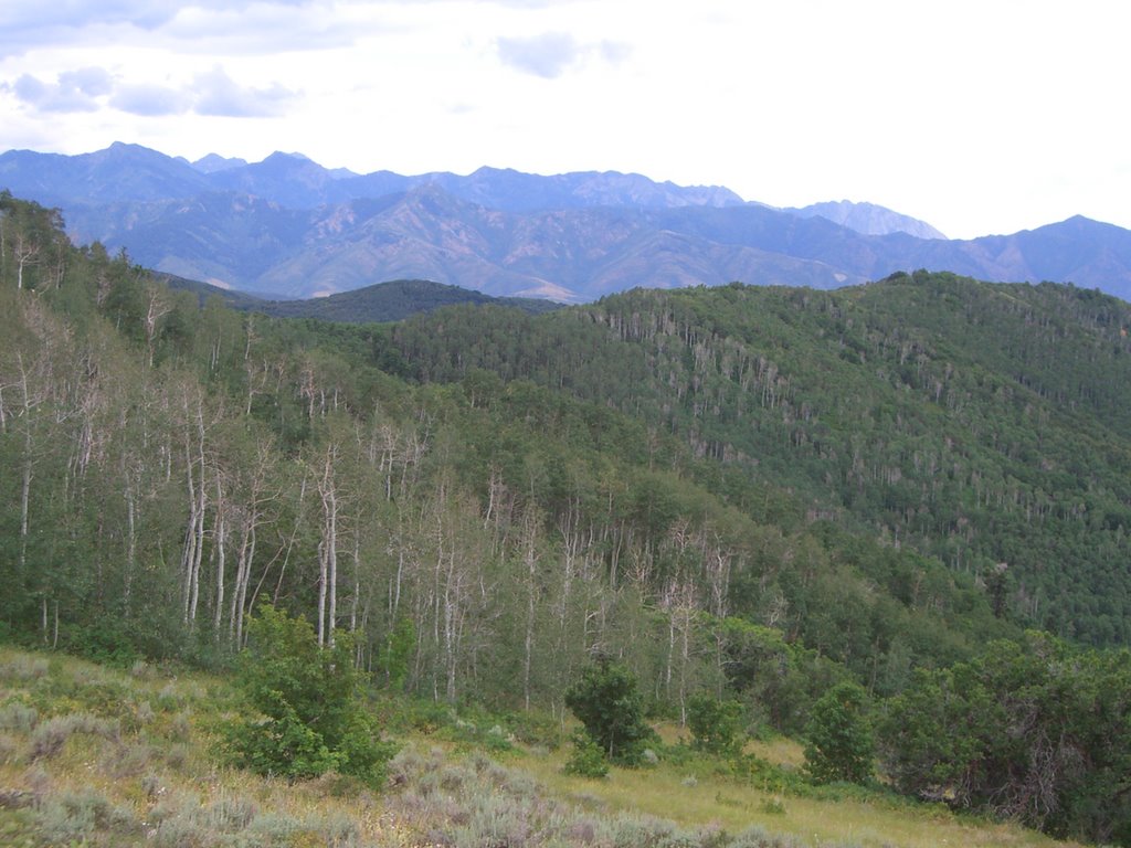 Utah Wasatch Front Unit Profile // GOHUNT. The Hunting Company