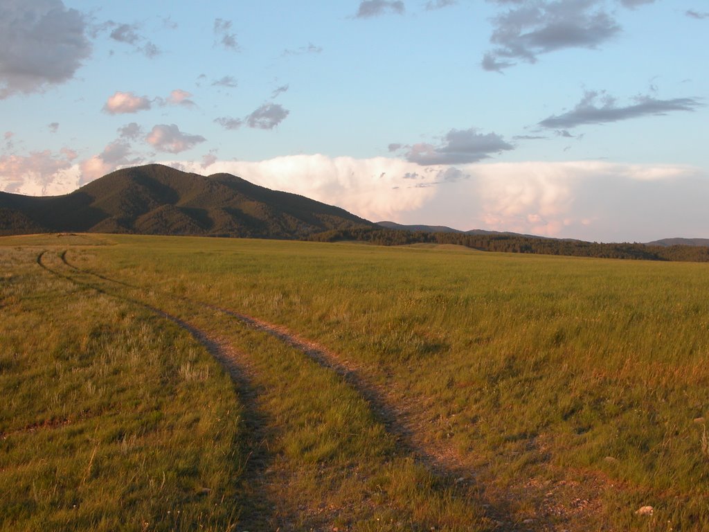 Montana Hunt District 411 Unit Profile - 50 Hunters are talking about ...