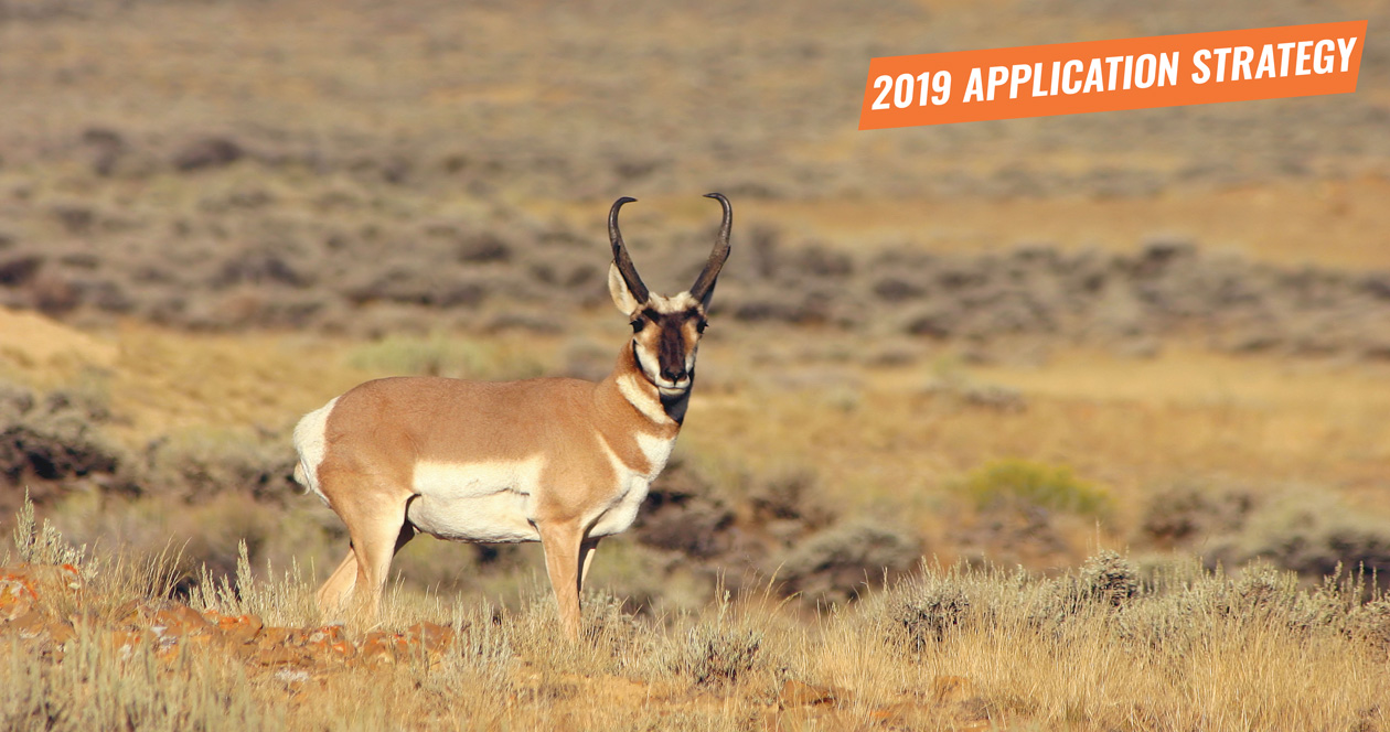 APPLICATION STRATEGY 2019: Montana Antelope // GOHUNT. The Hunting Company