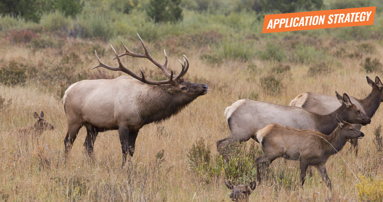 APPLICATION STRATEGY 2018: Idaho Elk and Antelope // GOHUNT. The Hunting Company