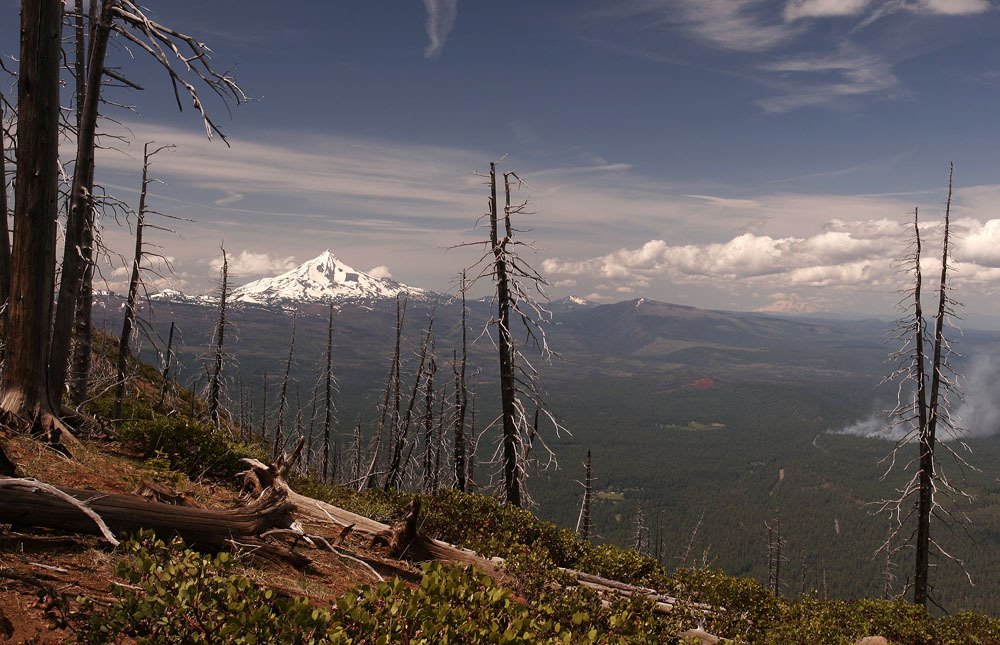 Oregon Unit 39 - Metolius Unit Profile // GOHUNT. The Hunting Company