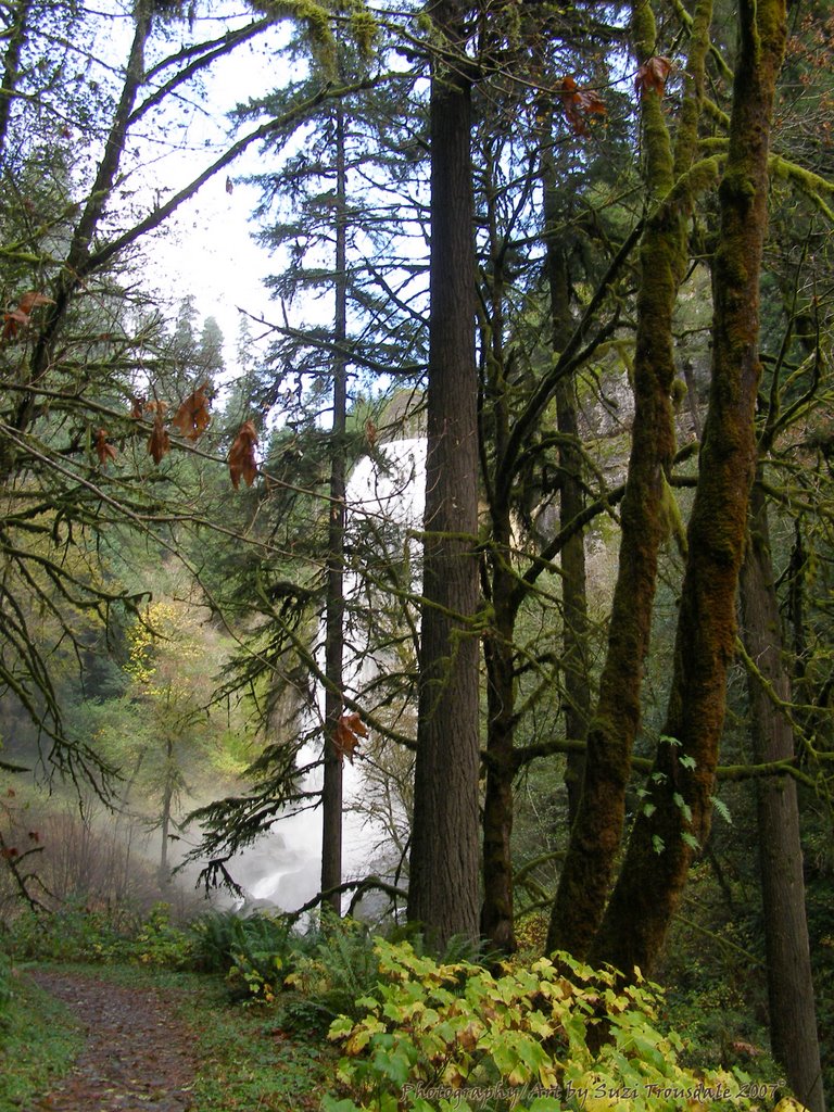 Oregon Unit 24 - Tioga Unit Profile // GOHUNT. The Hunting Company