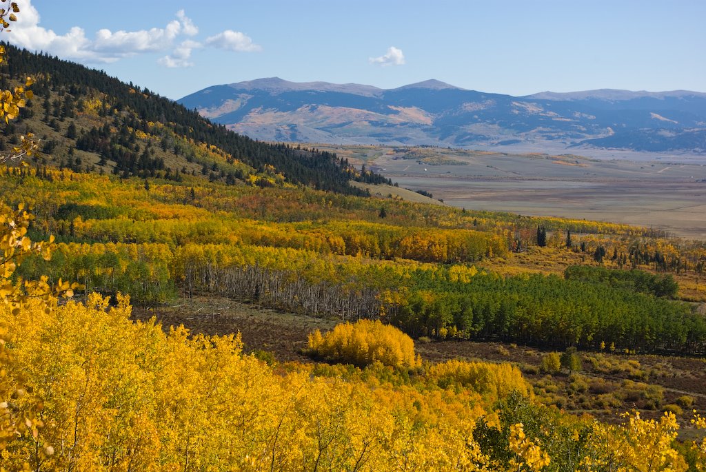 Colorado Unit S39 Unit Profile // GOHUNT. The Hunting Company