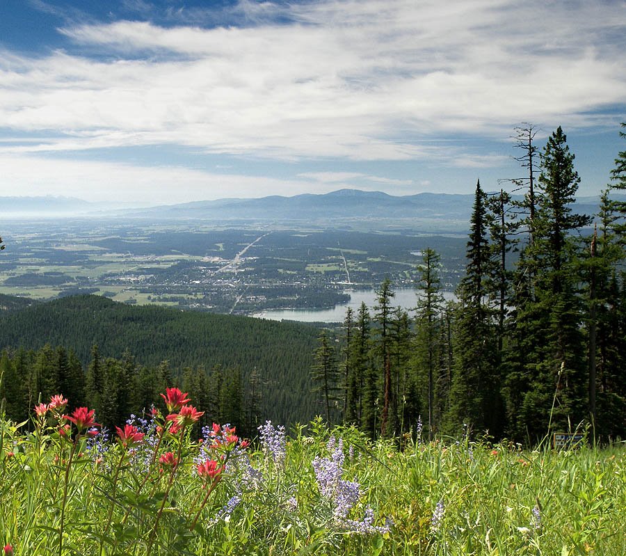 Montana Hunt District 110 Unit Profile // GOHUNT. The Hunting Company