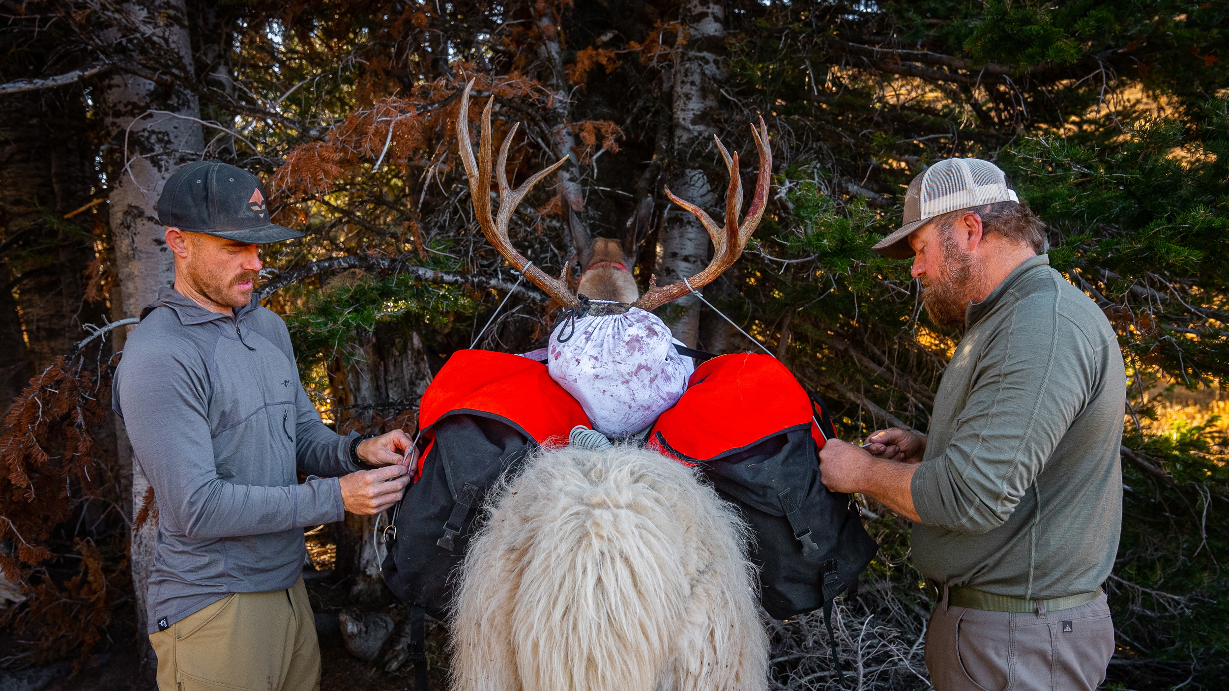 How to quickly analyze five-year data trends when planning a hunt ...