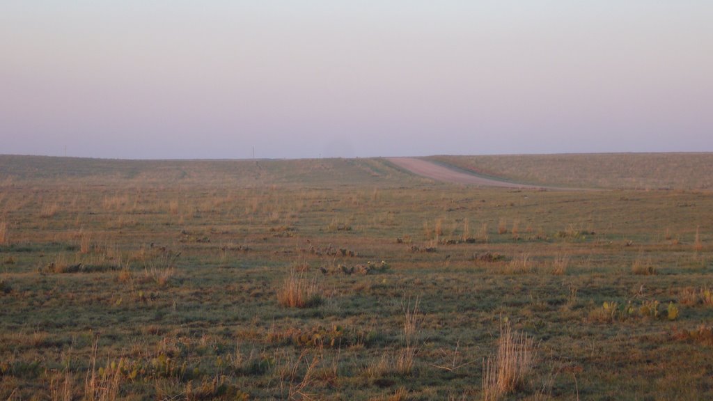 Colorado Unit 95 Unit Profile - 2 Hunters are talking about this Unit ...