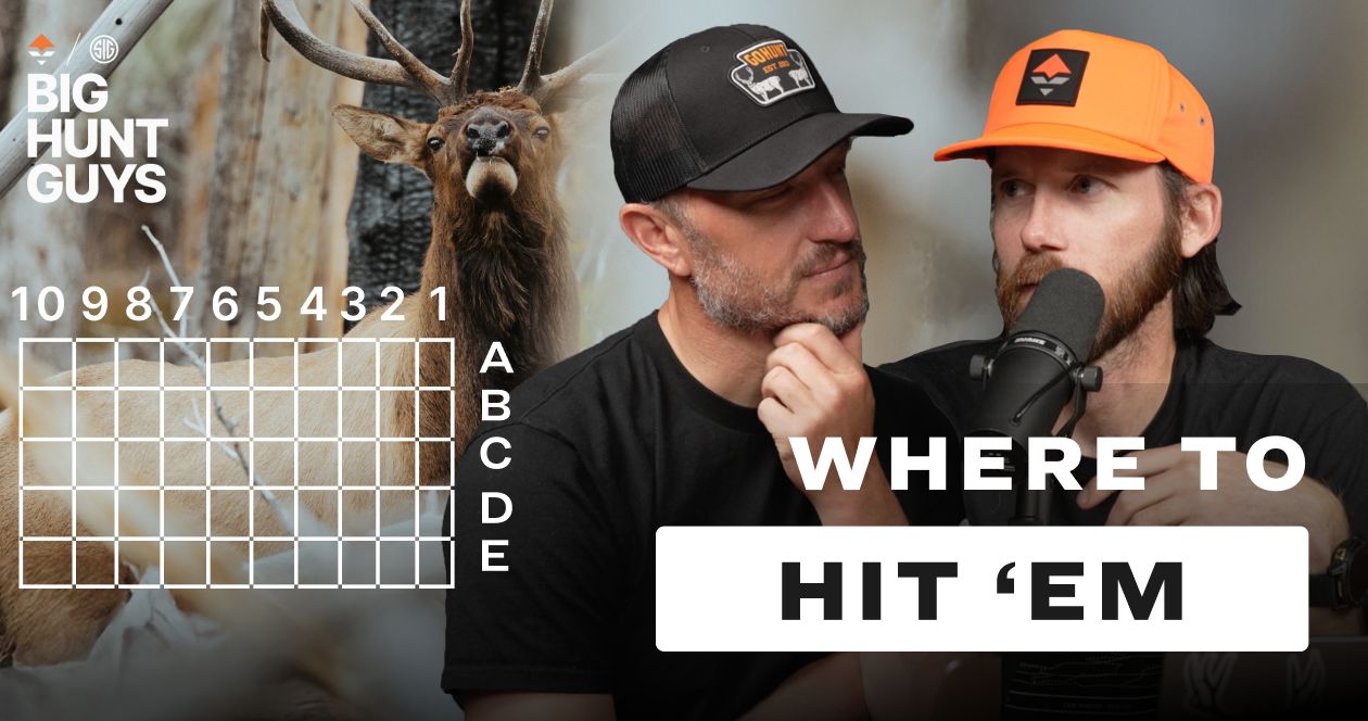 Where to Hit ‘Em, Archery Elk Edition | Big Hunt Guys, Ep. 191 ...